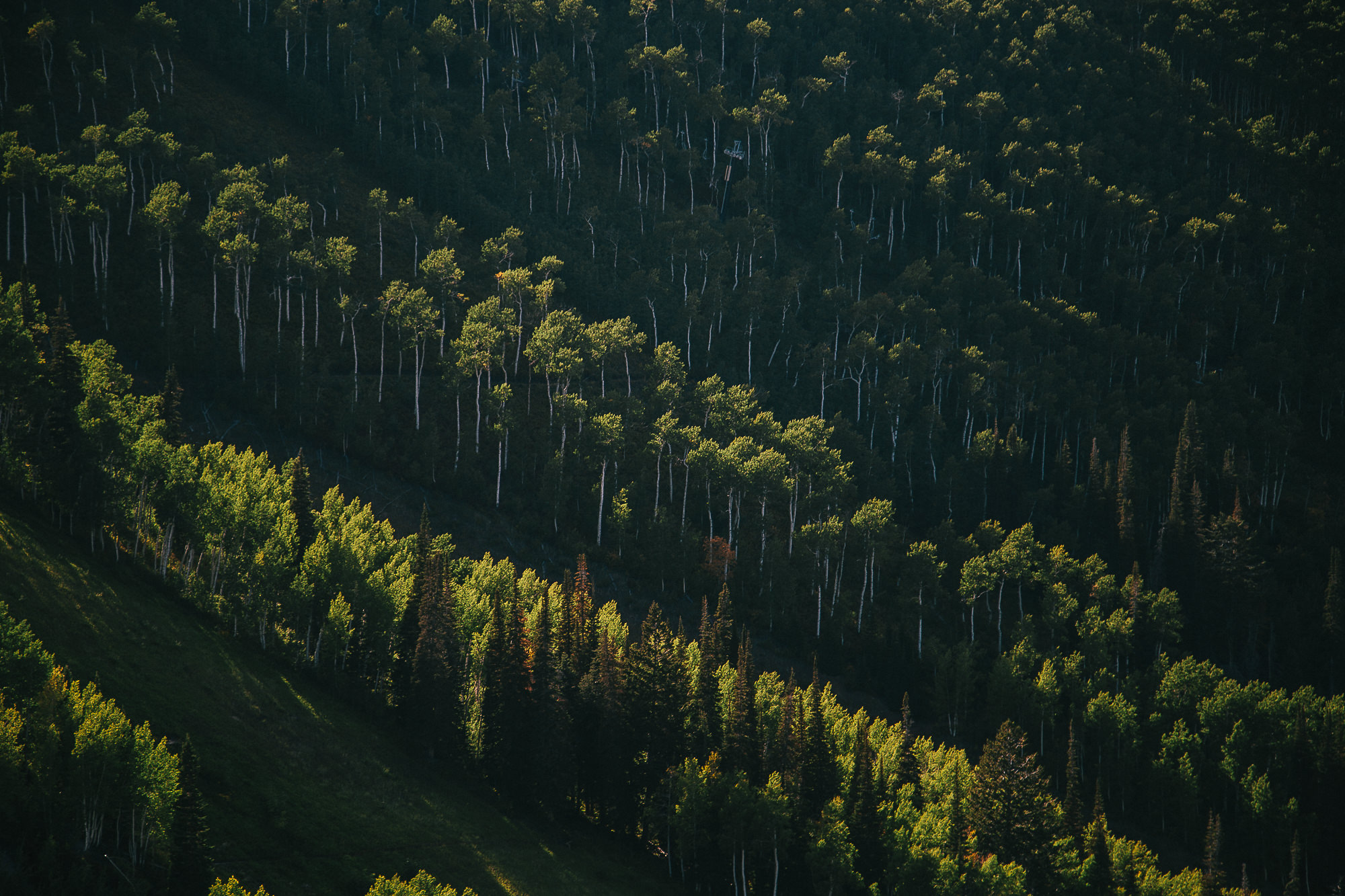 Reporting on the Global Landscapes Forum - Clarmondial