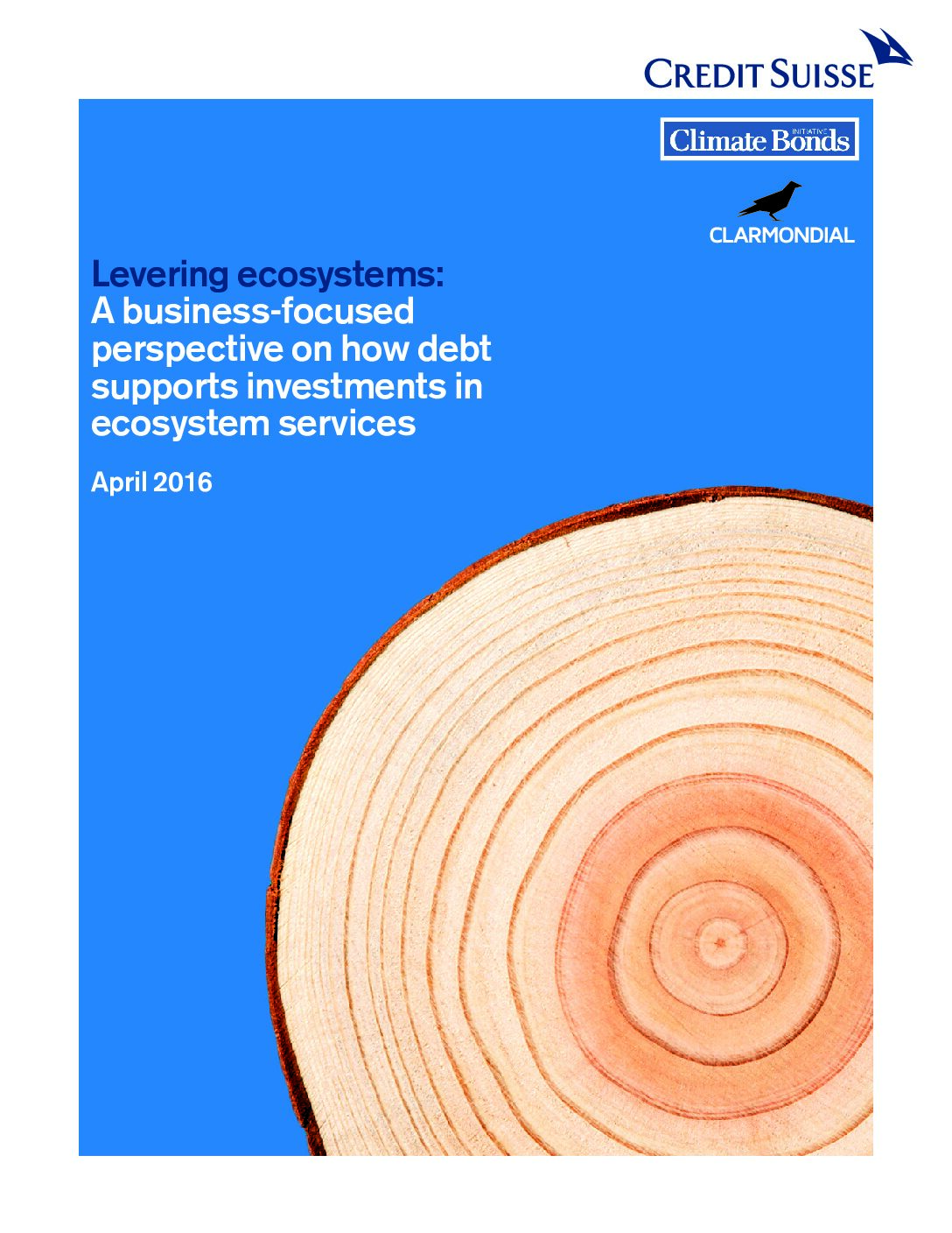 Leveraging ecosystems: A business-focused perspective on how debt ...