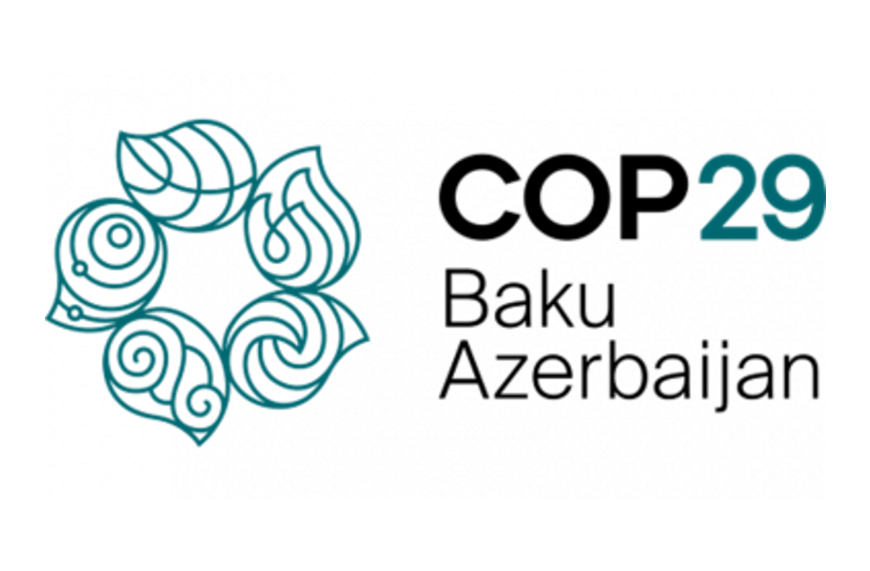 What does the outcome of COP29 mean for global carbon markets ...